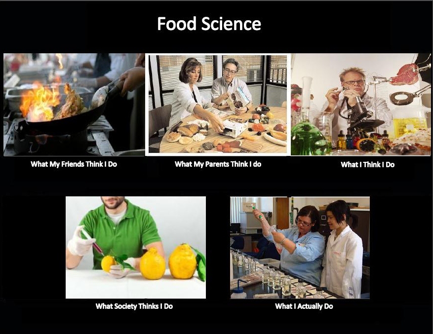 Welcome Students! - My Food Job Rocks!